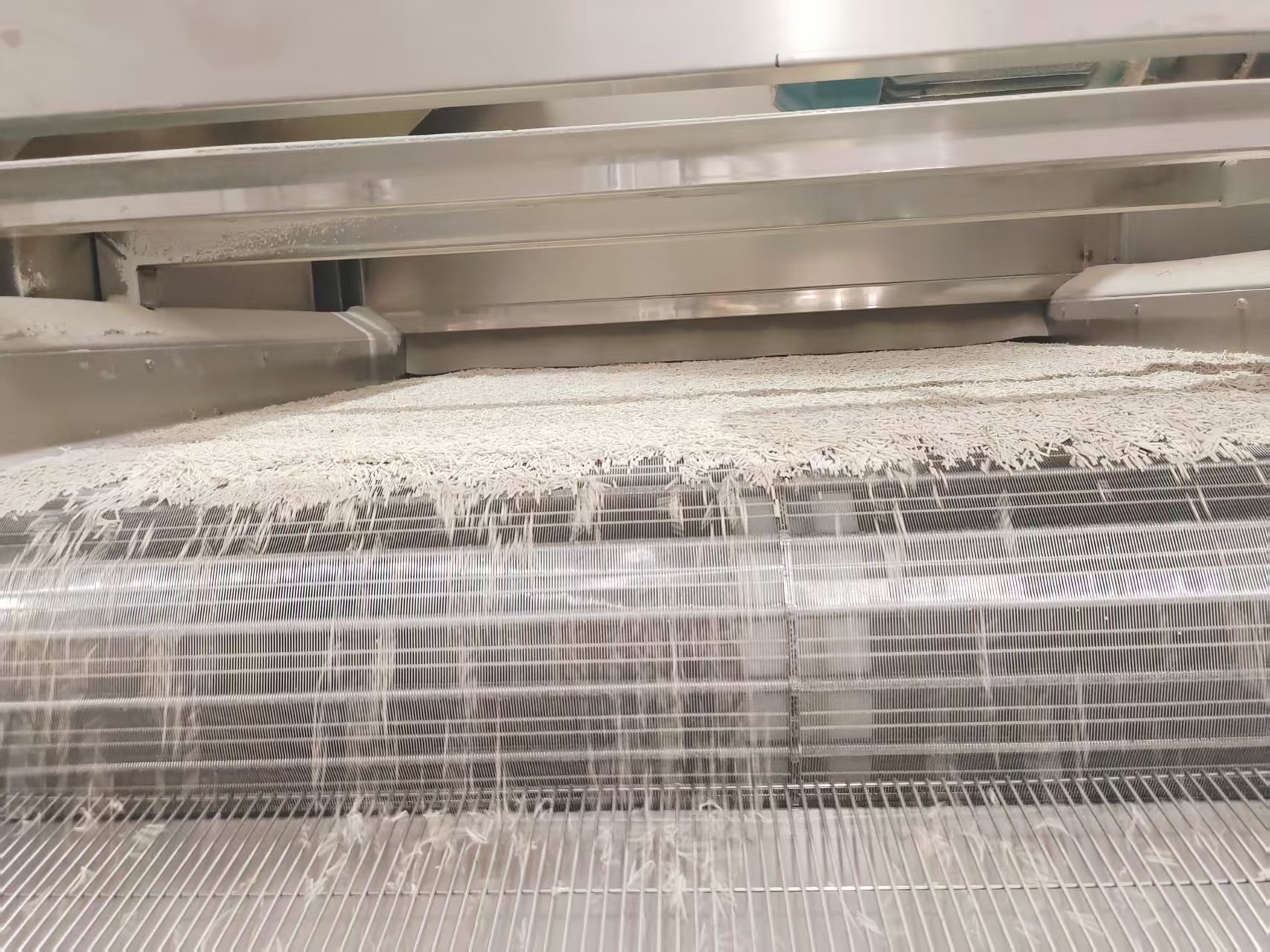 Eco-Friendly Cat Litter Factory | QingkePet Manufacturing